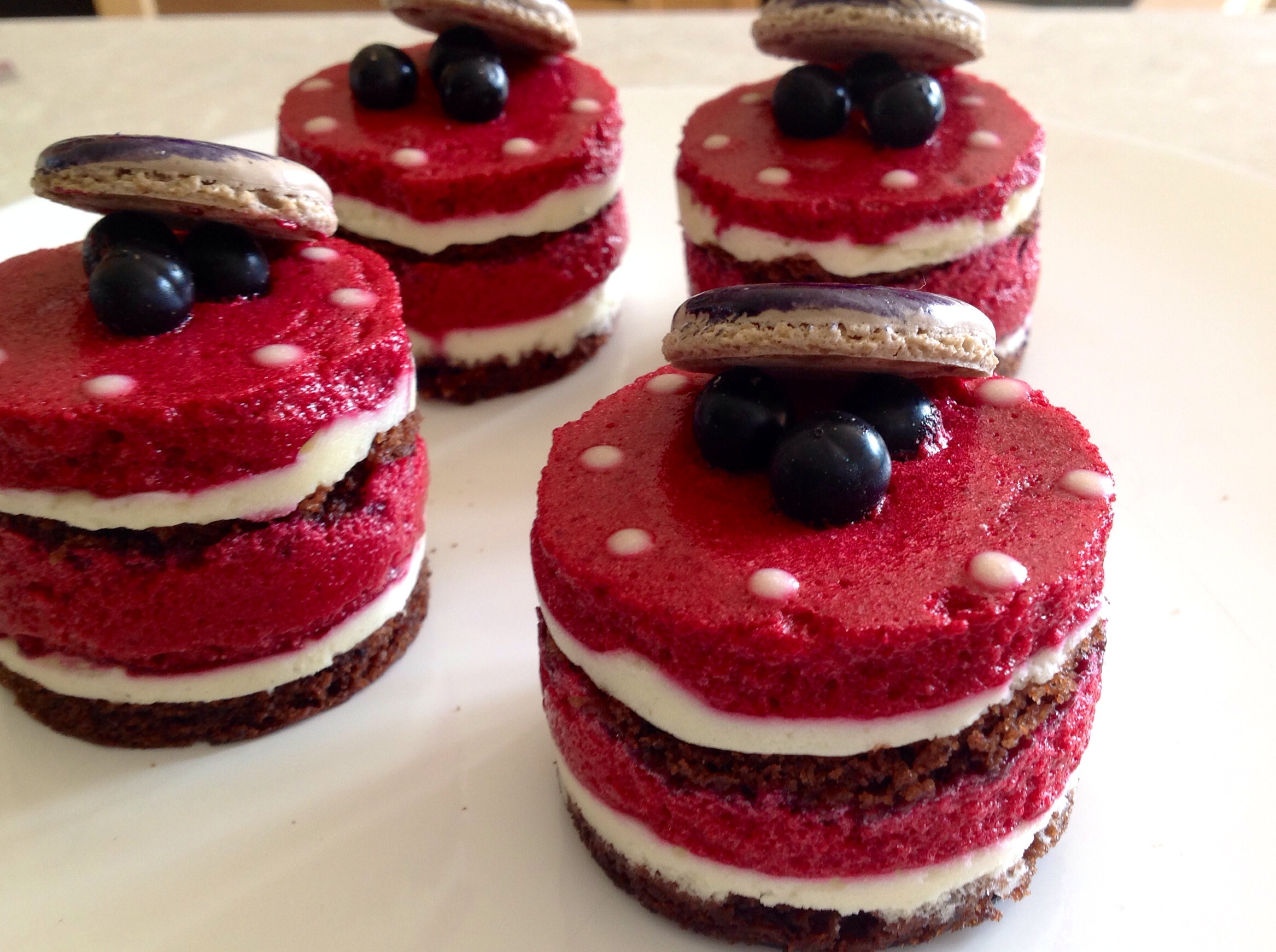 Blackcurrant & white chocolate mousse entremets – Phil's Home Kitchen