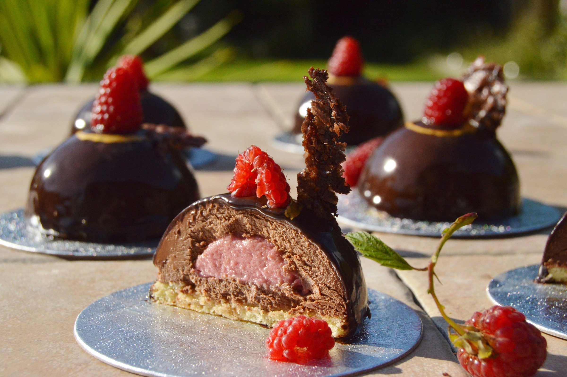 Raspberry & dark chocolate mousse domes – Phil's Home Kitchen