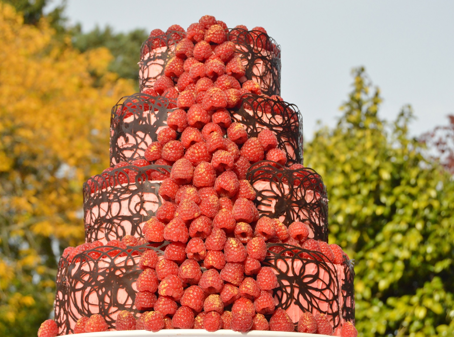 Raspberry cascade cake – Phil's Home Kitchen