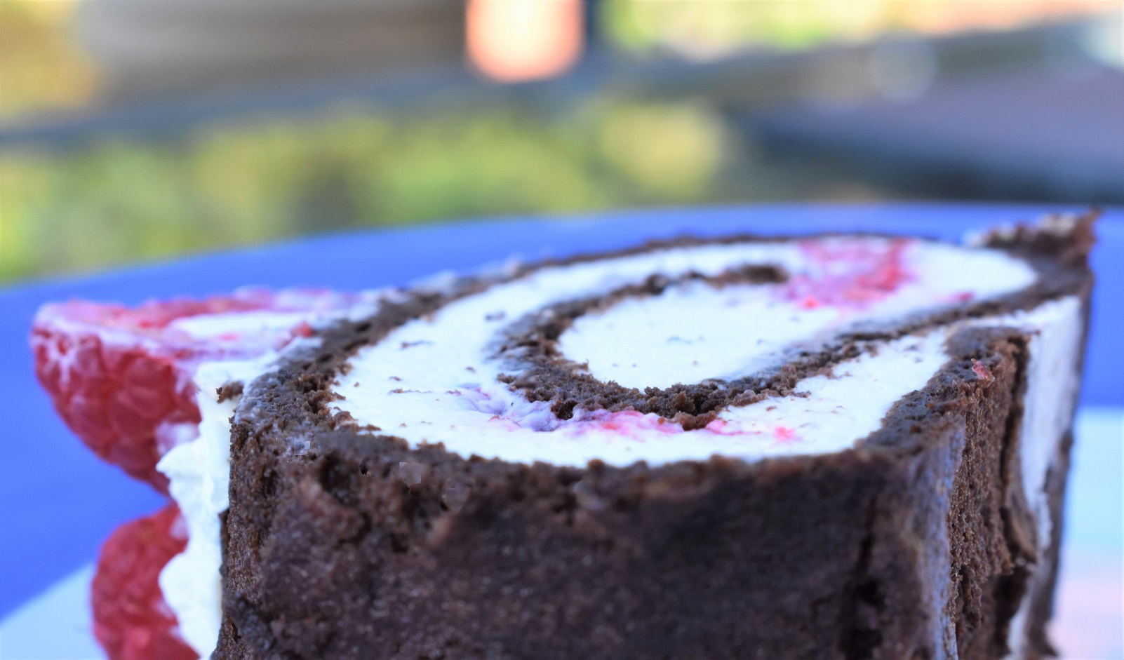 Chocolate and raspberry roulade – Phil's Home Kitchen