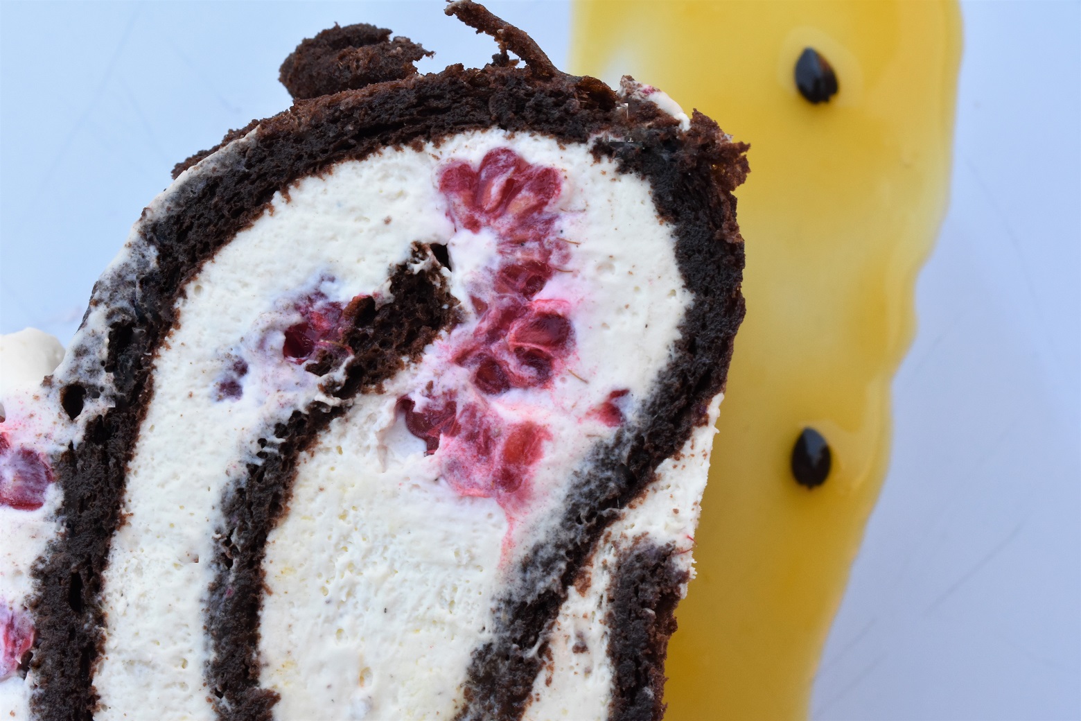 Chocolate and raspberry roulade – Phil's Home Kitchen
